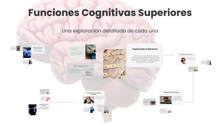 Funciones Cognitivas Superiores by Lucia Alejandrina Torres Suquilanda on Prezi