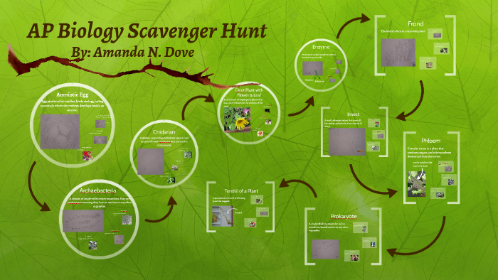 AP Biology Scavenger Hunt by Andy D on Prezi