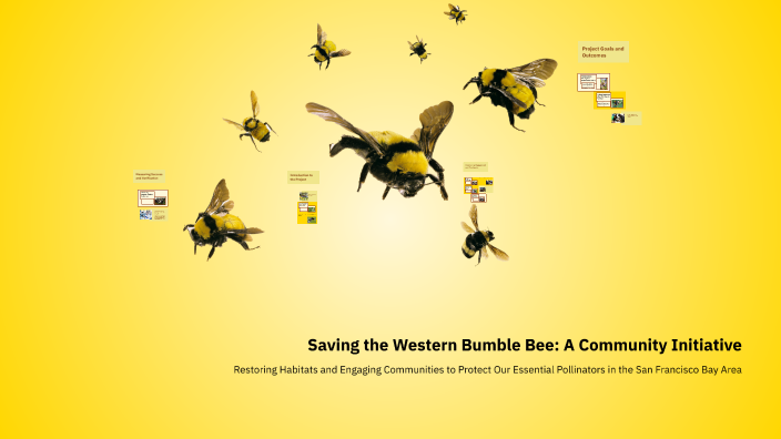 Saving the Western Bumble Bee: A Community Initiative by Jamie O'Brien on Prezi