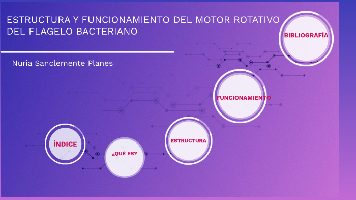 Motor flagelo bacteriano by Nuria Sanclemente Planes on Prezi