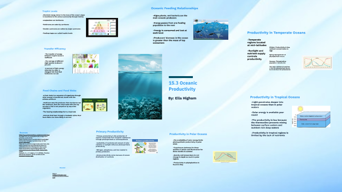 15.3 Oceanic Productivity by Ella Higham on Prezi