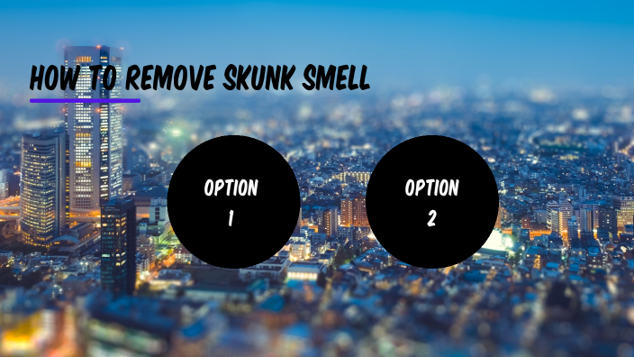 how to remove skunk smell by Ethan Arias Maldonado on Prezi