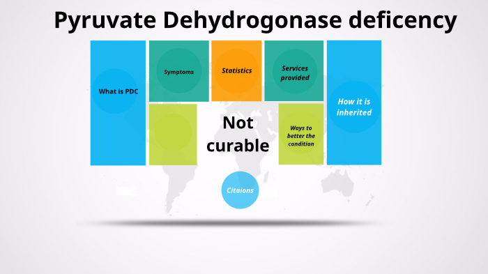 Pyruvate Dehydrogenase Deficiency by Laylue Kue on Prezi