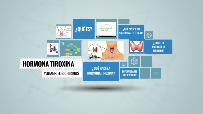 Hormona Tiroxina by Yelitza Marcano on Prezi