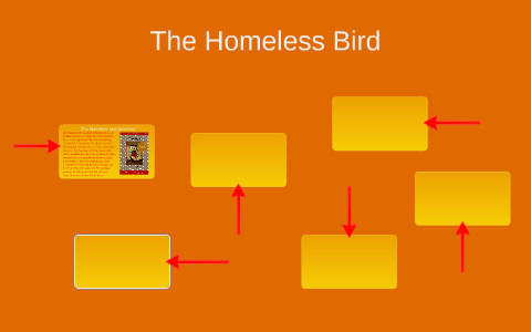 The Homeless bird Summary by paige c on Prezi
