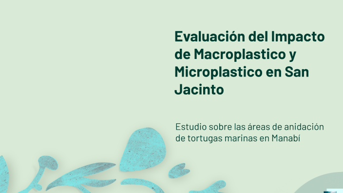 Evaluación del Impacto de Macroplastico y Microplastico en San Jacinto ...