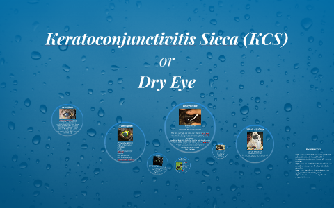 Keratoconjunctivitis Sicca (KCS) or by Caitlin Spracklen on Prezi