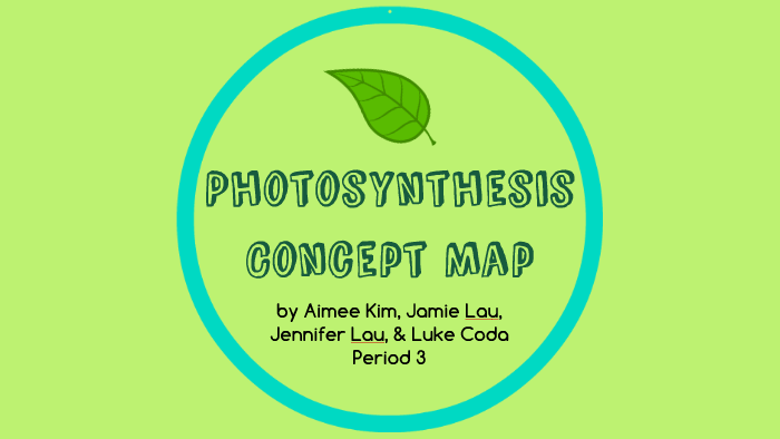 Photosynthesis Concept Map by Jennifer Lau on Prezi
