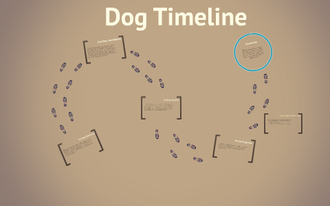 Dog Timeline by Lauren Spencer on Prezi