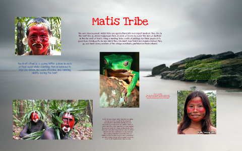 Matis Tribe Rites of Passage by Max Krainer on Prezi