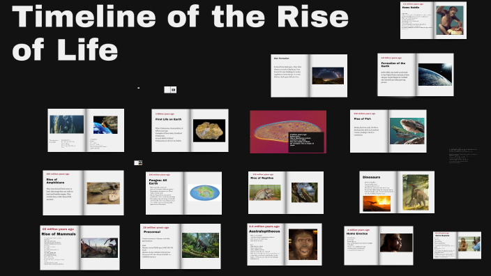 Timeline of the Rise of Life by John Harris on Prezi