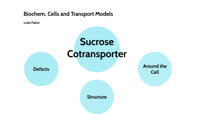 Biochem, Cells and Transport Models by Luka Fabre on Prezi