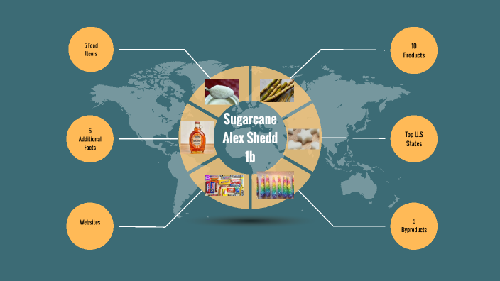 Sugarcane by Alex Shedd on Prezi