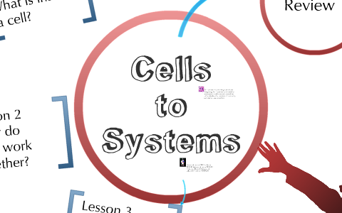 5th Grade Science Chapter 2 Cells to Systems by Jennifer Benedetti on Prezi
