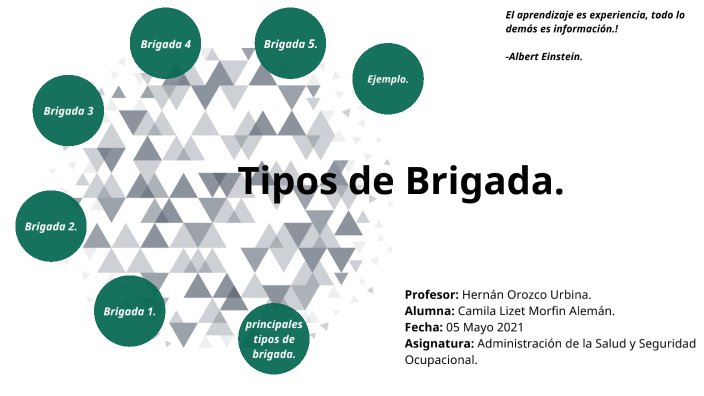 Tipos de brigada by CAMILITA MORFIN on Prezi