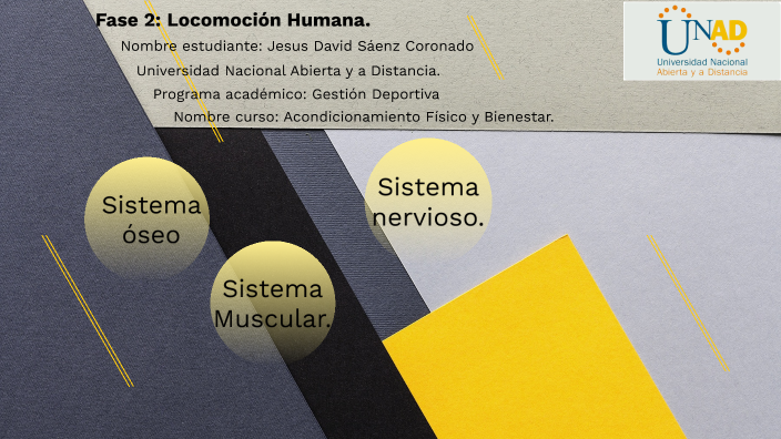 Fase 2: Locomoción Humana. Jesús Coronado by Jesus David Saenz Coronado ...