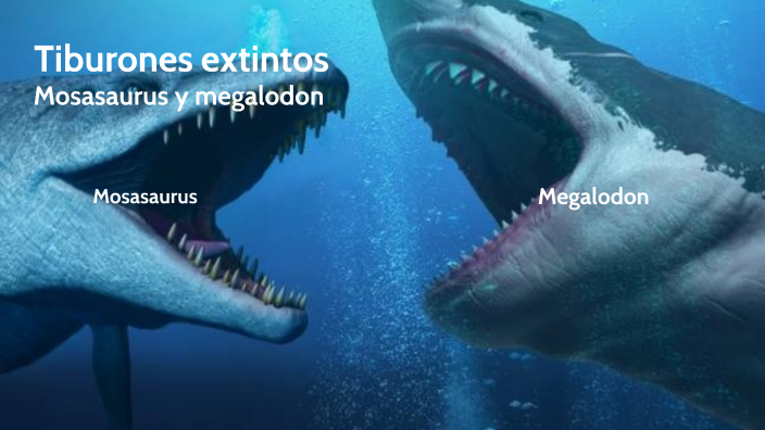 Tiburones extintos by Valen :) on Prezi