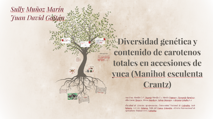 Diversidad genética y contenido de carotenos totales en acce by Sully ...