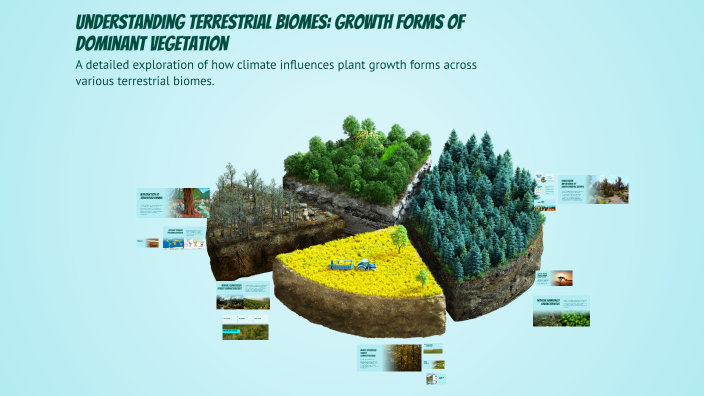Understanding Terrestrial Biomes: Growth Forms of Dominant Vegetation ...