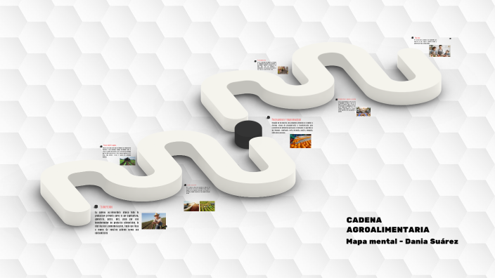 Mapa mental - Dania Suárez by Dania Marcela Suarez Urrego on Prezi