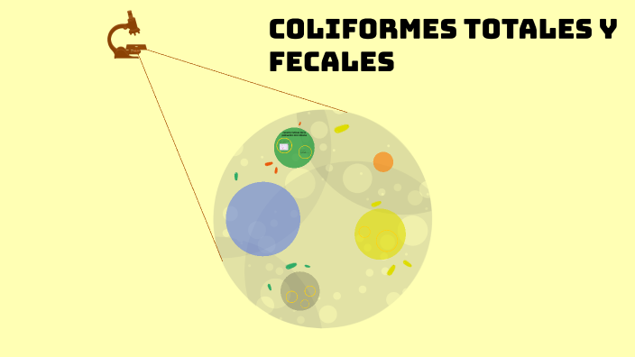 Coliformes totales y fecales by katherine de la rosa on Prezi