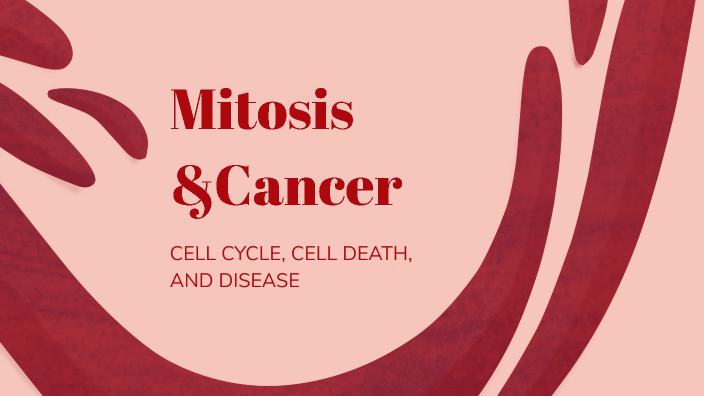Mitosis and cancer by Henrich Paragatos on Prezi