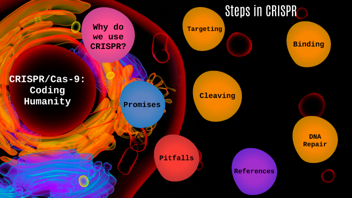 CRISPR-Cas-9 Infographic by Mariam Hassan on Prezi