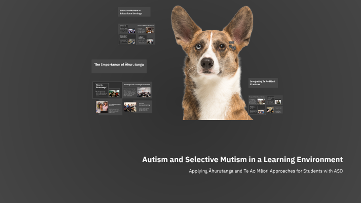 Autism and Selective Mutism in a Learning Environment by Evangeline ...
