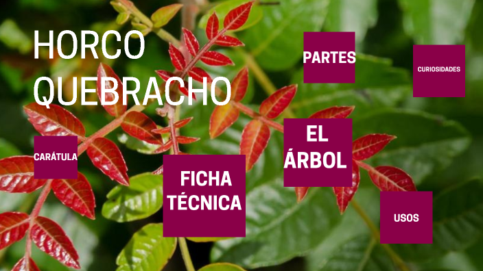 HORCO QUEBRACHO by luisina di nardo on Prezi