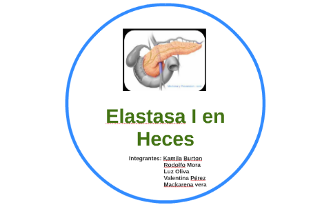 Elastasa I en Heces by valentina perez on Prezi