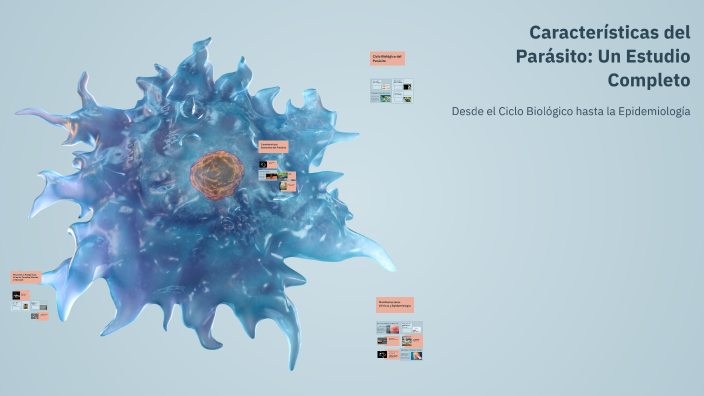Características del Parásito: Un Estudio Completo by genesis cuevas on ...