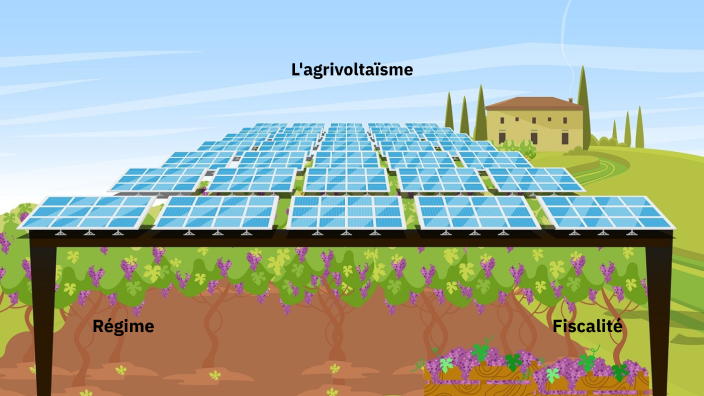 Grand oral by sarah pollet on Prezi