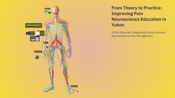 From Theory to Practice: Improving Pain Neuroscience Education in Yukon ...
