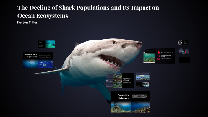 The Decline of Shark Populations and Its Impact on Ocean Ecosystems by ...