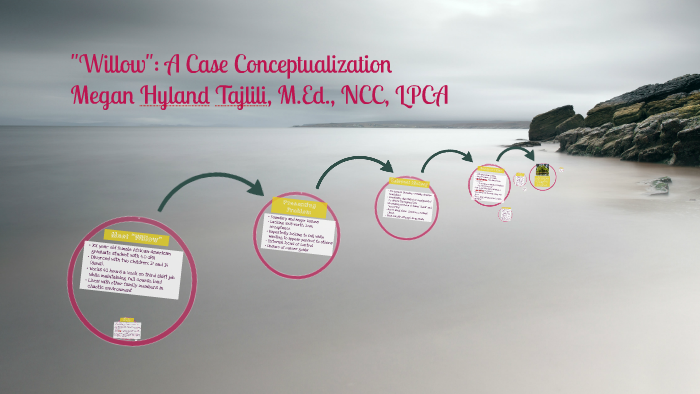 Case Conceptualization by Megan Tajlili on Prezi