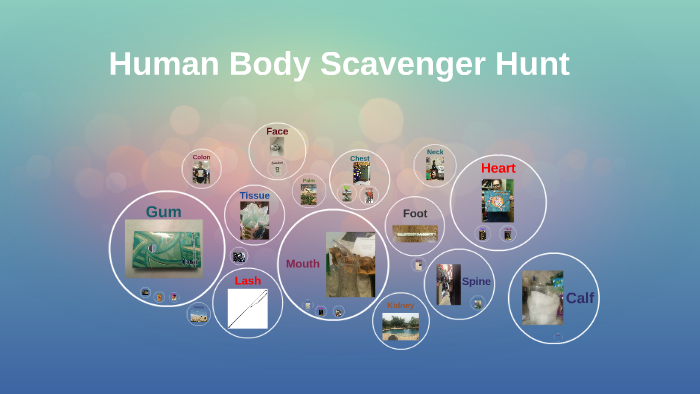 Human Body Scavenger Hunt by Lezlei Haag on Prezi