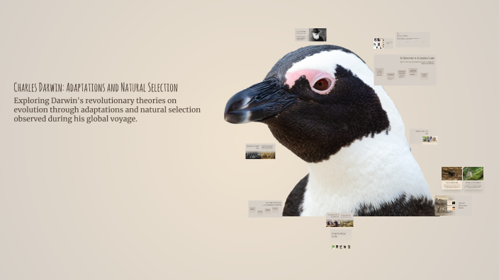 Charles Darwin: Adaptations and Natural Selection by Bhumiba Gohil on Prezi