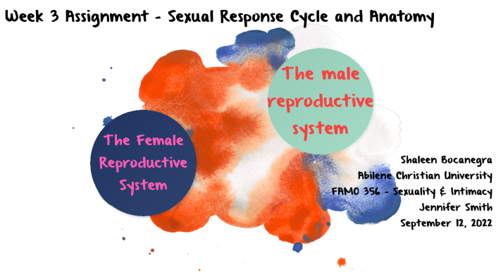 Week 3 Assignment Sexual Response Cycle And Anatomy By Shaleen 7206