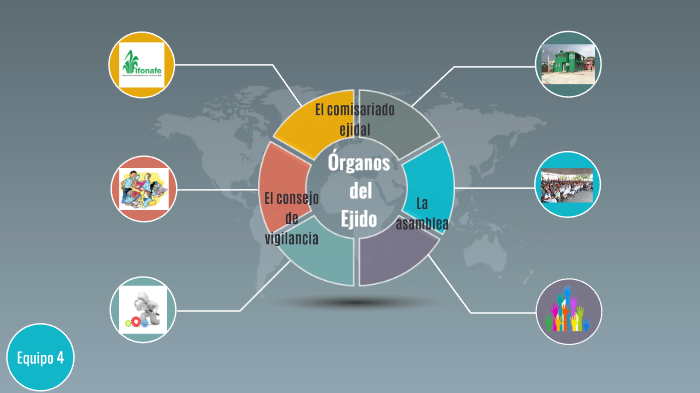 Unidad 3. Órganos del Ejido by Chantal Simoni on Prezi