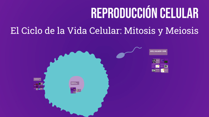 Reproducción Celular by Ismael Caro on Prezi