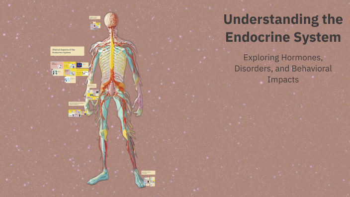 Understanding the Endocrine System by Jennifer Negrete on Prezi