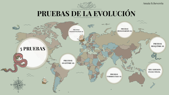 PRUEBAS DE LA EVOLUCIÓN by Amaia Echeverría Hermoso on Prezi