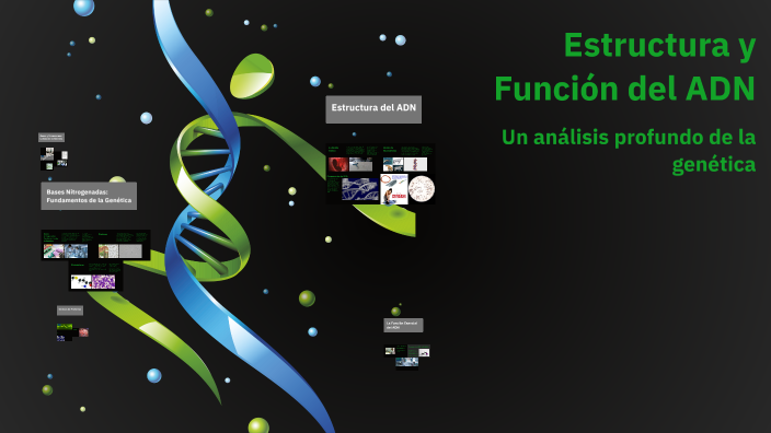 Estructura y Función del ADN by Ale on Prezi