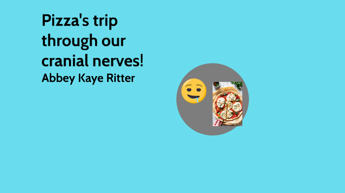 Cranial Nerves by Abbey-Kaye Ritter on Prezi