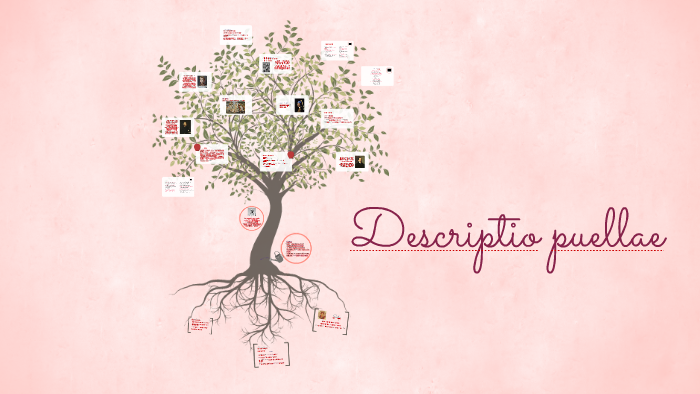 Descriptio Puellae by Lara Ferrer Añó on Prezi