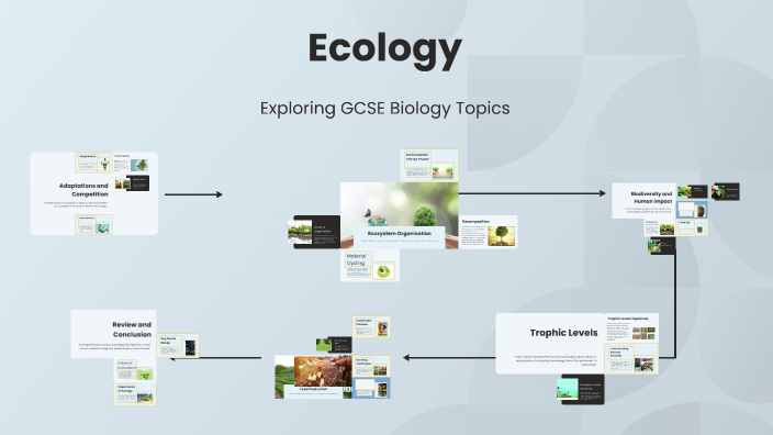 Ecology Mind Map by Tammy McChristie on Prezi