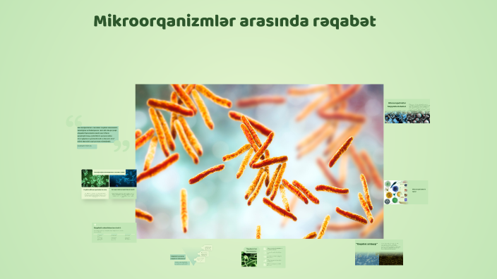 Competition Among Microorganisms by Shabnam Piriyeva on Prezi