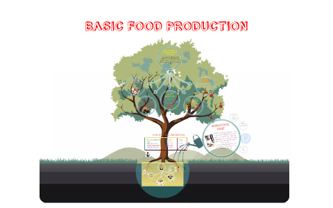 BASIC FOOD PRODUCTION by Tiffany Nadia on Prezi