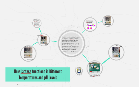 How Lactase functions in Different Temperatures and pH Level by ...