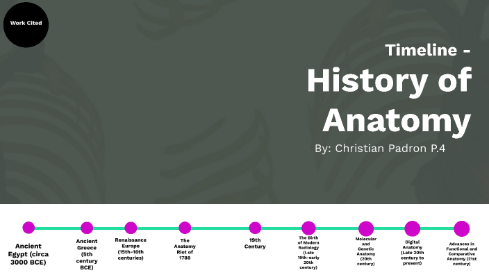 Illustrated timeline: History of Anatomy by Christian Padron on Prezi